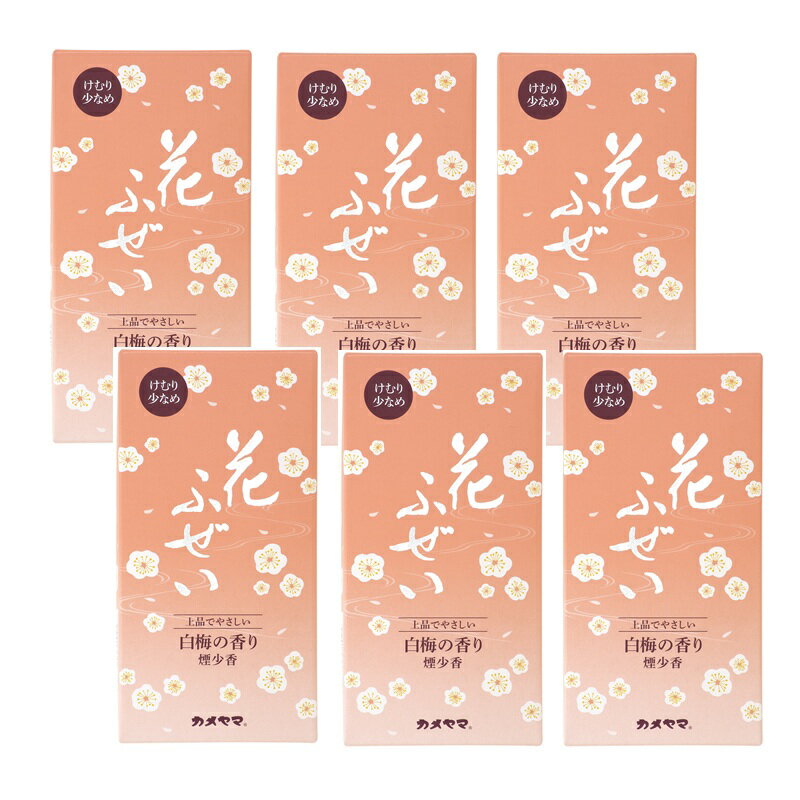 商品名 花ふぜい 白梅 煙少香 約100g 【×6個セット】 商品説明 商品名：花ふぜい 白梅　煙少香内容量：100g発売元、製造元、輸入元又は販売元：カメヤマ株式会社原産国：マレーシアブランド：花ふぜい花ふぜいシリーズの新しい香りのお線香...