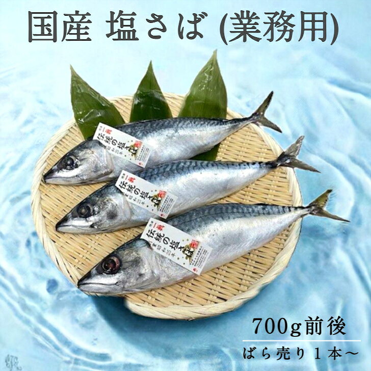 商品情報名称国産 塩さば原材料名真鯖(国産)、食塩内容量約700g賞味期限出荷日から60日保存方法要冷凍(−18℃以下)製造者または販売者株式会社あまる齋藤商店静岡県焼津市利右衛門384-1備考クール(冷凍)便のお届けとなります。解凍後は、...