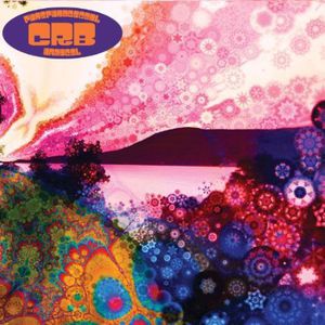 2014/4/29 発売輸入盤レーベル：SILVER ARROW RECORDS収録曲：(クリスロビンソン)