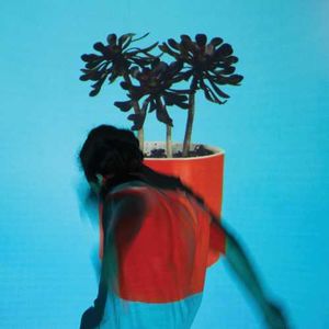 2016/9/9 発売輸入盤レーベル：LOMA VISTA収録曲：