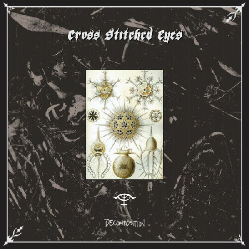発売日: 2012/5/1輸入盤レーベル: Alternative Tentacle収録曲: 1.1 We Follow1.2 Vile Corpse1.3 Existence1.4 Animated Corpse1.5 Broken Mi...