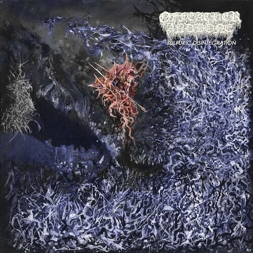 2020/11/13 発売輸入盤レーベル：PROFOUND LORE収録曲：