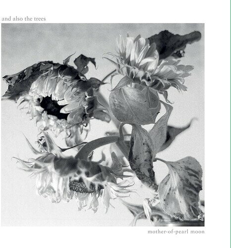 2024/3/1 発売UK盤レーベル： AND ALSO THE TREES収録曲：