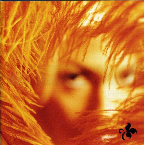 発売日: 2001/6/19輸入盤レーベル: Atlantic収録曲: 1.1 Dumb Love1.2 Days of the Week1.3 Coma1.4 Hollywood Bitch1.5 Wonderful1.6 Black A...