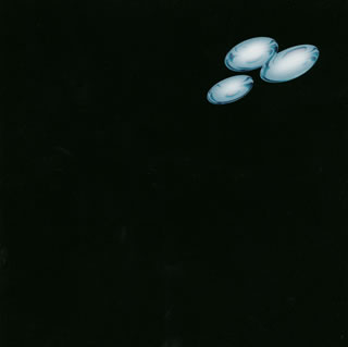 2003年5月5日に行なわれた日比谷野外音楽堂ライヴを完全収録した2枚組ライヴ・アルバム。テクノ、トランス、ジャズ、ロック、ファンクを中心としたありとあらゆる音楽要素が(まるで生き物のように)自由自在に融合、変化していく演奏は、ただただ圧巻...