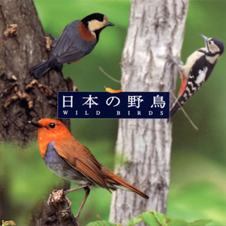 日本の森の中で聴くことのできる鳥のさえずりを、全34パターン収録。リラクゼーション&ヒーリングに絶大な効果を示す1枚。鳥のさえずりが、こんなにも人の心を癒すのかと驚かされる。【品番】　VICG-41163【JAN】　498800247549...