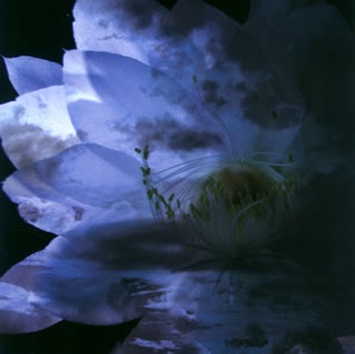 多彩なアーティストたちがカヴァーするLUNA SEA初のトリビュート・アルバム。個性あふれるアレンジもさることながら、女性ヴォーカルが新鮮な3、8曲目、大御所のシブさが際立つ6、12曲目を含め、全編にわたって楽曲の新たな魅力が引き出されてい...