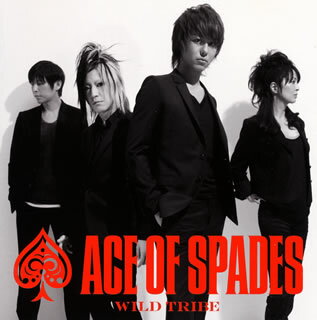 TAKAHIRO(EXILE)、HISASHI(GLAY)、TOKIE(LOSALIOS)、MOTOKATSU MIYAGAMI(THE MAD CAPSULE MARKETS)による限定プロジェクトのシングル。注目のロックな一枚だ。【品番...