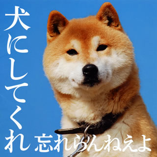 プロデューサーに特撮のNARASAKIを迎え、これまでのサウンドを一新したサード・アルバム。グランジを通過したヘヴィなギター・サウンドが鳴り響く中、相変わらずヘタレな柴田の歌詞がより際立った。失恋した彼女に"犬にしてくれ"と懇願するタイトル...