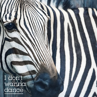 【品番】　NIW-113【JAN】　4988044020504【発売日】　2015年11月04日【収録内容】(1)I don't wanna dance(2)deep sleeper?(3)slow motion(4)君は神様だったから(5...