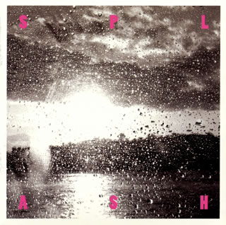 a flood of circleやクリープハイプのプロデュースもする奥村 大を中心とする3ピース・バンドの8作目。ソリッドでけれんみのないギター・ロックは、かつてのルースターズを思わせるほど人間味が備わってきており、これといった新しい試み...