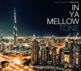 ジャジィ&メロウ・ヒップホップの金字塔とも言えるコンピ「IN YA MELLOW TONE」の第13弾。Still CaravanやGEMINIといった、同コンピに欠かせないアーティストの新録曲を多く収録。メロウなビート系トラックでありなが...