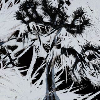 【品番】　VICL-65965【JAN】　4988002939169【発売日】　2024年05月29日【収録内容】(1)ライムライト(2)ざわめき(3)no rest for the wicked(4)ゆうえん(5)シカバネーゼ(6)宵闇(...