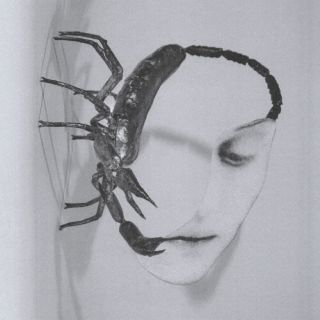 【品番】　RINC-140【JAN】　4988044133082【発売日】　2025年11月05日【収録内容】(1)Vexations(2)Layered Presence(3)Works and Days(4)Elka(5)Promena...