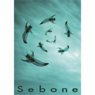 【品番】　PCCA-6463【JAN】　4524135289360【発売日】　2026年03月25日【収録内容】［1］〈Sebone -脊髄盤-〉(1)あげない(新録の楽曲を8曲収録/曲順未定)［2］〈Sebone -脊椎盤-〉(1)カメラ...