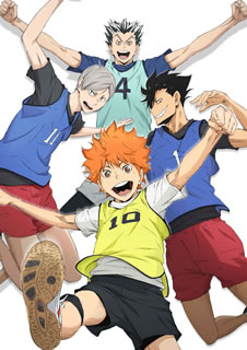 古舘春一の人気コミックに基づく新世代スポーツ・アニメの第2期。インターハイでは予選敗退となり、春高予選に向けて再び動き出した鳥野高校排球部。強豪校が集う合宿への参加が決定するが……。声の出演に村瀬歩、石川界人ら。【品番】　TDV-25462...