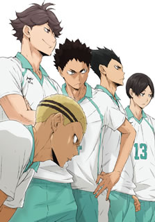 古舘春一の人気コミックに基づく新世代スポーツ・アニメの第2期。インターハイでは予選敗退となり、春高予選に向けて再び動き出した鳥野高校排球部。強豪校が集う合宿への参加が決定するが……。声の出演に村瀬歩、石川界人ら。【品番】　TDV-25468...