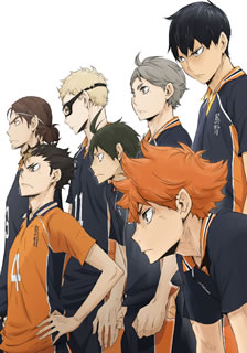 古舘春一の人気コミックに基づく新世代スポーツ・アニメの第2期。インターハイでは予選敗退となり、春高予選に向けて再び動き出した鳥野高校排球部。強豪校が集う合宿への参加が決定するが……。声の出演に村瀬歩、石川界人ら。【品番】　TDV-25469...