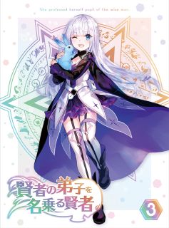 りゅうせんひろつぐ原作、藤ちょこイラストによる人気ライトノベル"賢でし"のアニメ化シリーズ。諸事情により老練の賢者が美少女に変身した主人公・ミラが、ゲームの世界で冒険をする。"わしかわいい"系美少女転生ファンタジー。【品番】　KABA-11...