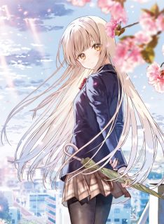 佐伯さん原作のライトノベルをアニメ化する青春ラブ・コメディ。整理整頓が苦手でつい不摂生しがちな一人暮らしの高校生と、そんな彼の世話を焼くようになった才色兼備の隣人が繰り広げるじれったい恋の行方を描く。【品番】　TDV-33080D【JAN】...