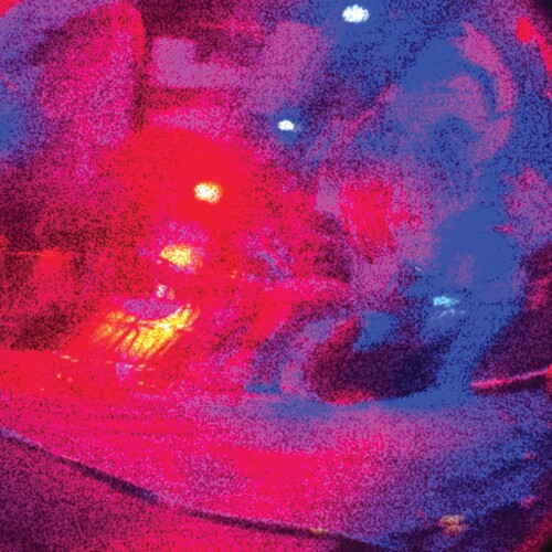 こちらの商品は輸入盤のため、稀にジャケットに多少のスレや角にシワがある場合がございます。2025/2/7 発売輸入盤レーベル：ABANDON EVERYTHING収録曲：