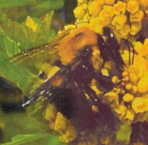 こちらの商品は輸入盤のため、稀にジャケットに多少のスレや角にシワがある場合がございます。2025/6/13発売輸入盤レーベル：BRONCHO WORLDWIDE収録曲：1 Imagination0 :2 Funny3 Cool4 Get G...