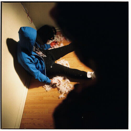 こちらの商品は輸入盤のため、稀にジャケットに多少のスレや角にシワがある場合がございます。2024/11/22 発売輸入盤レーベル：EQUAL VISION RECORDS収録曲：