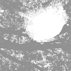 こちらの商品は輸入盤のため、稀にジャケットに多少のスレや角にシワがある場合がございます。こちらの商品はネコポスでお届けできません。2016/1/15発売輸入盤レーベル：BA DA BING収録曲：