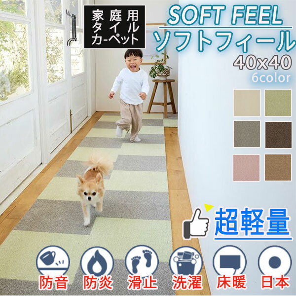 品名：ソフトフィール品種：タフテッド　カーペット組成：ポリエステル100％パイル長：6mm カットパイル全厚：11mm寸法：40cmX40cm防炎：試験番号　　E2250366梱包：10枚/ケースこの商品は同カラー10枚セットで1梱包です。...