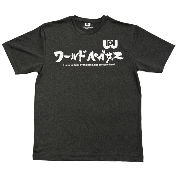 メーカー ワールドペガサス（WORLD PEGASUS） カテゴリー 野球 分類 Tシャツ 商品名 ワールドペガサス（WORLD PEGASUS）　WAPTS102 90 野球 S/S カタカナ Tシャツ 22SS 品番 WP-WAPTS1...