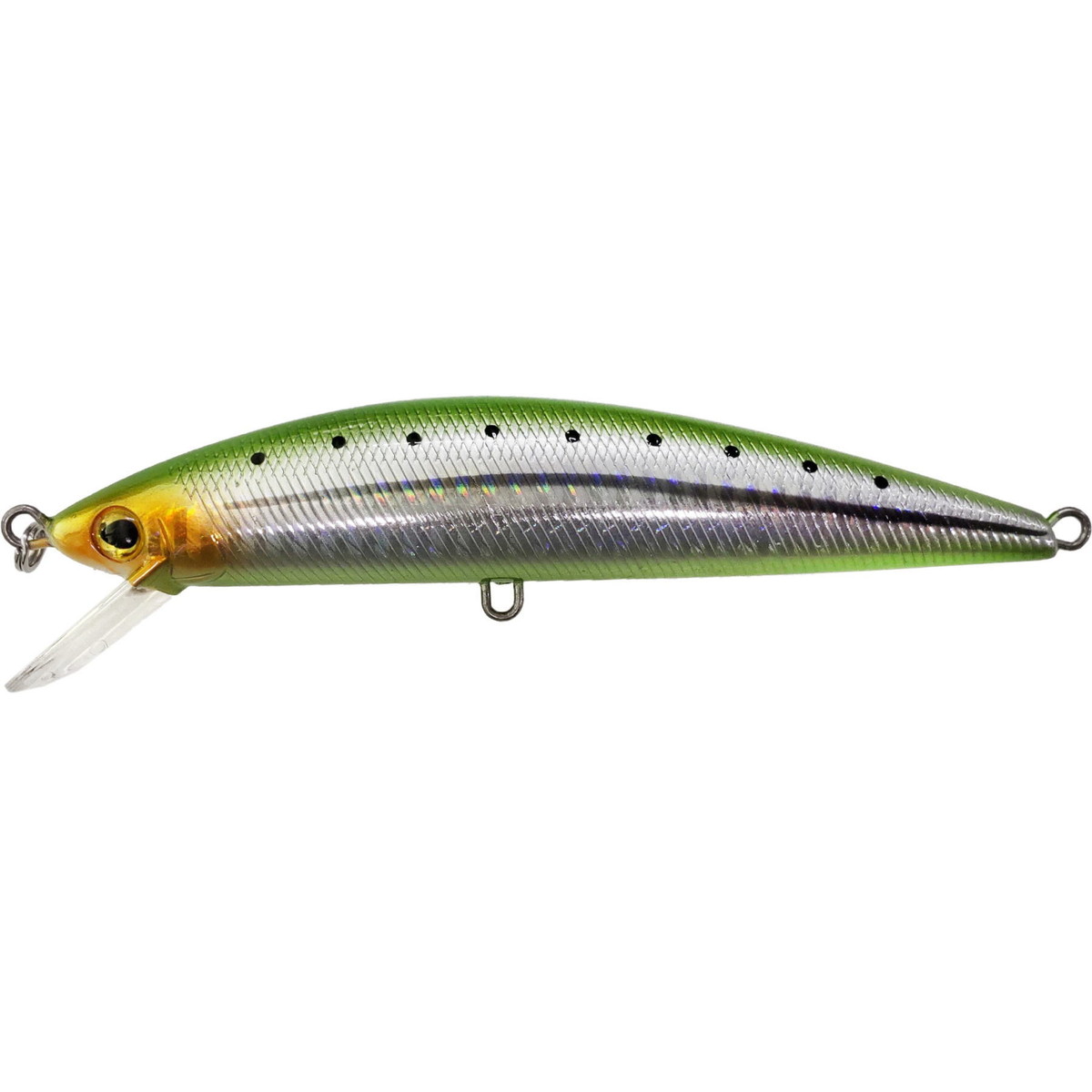 前人未踏のその先へ！「バッケンレコード」メタルジグに匹敵する飛距離で高速サーチ！！カッ飛びヘビーウエイト。●カラー：GBイワシ●サイズ(mm)：120●自重(g)：44●タイプ：ヘビーシンキング