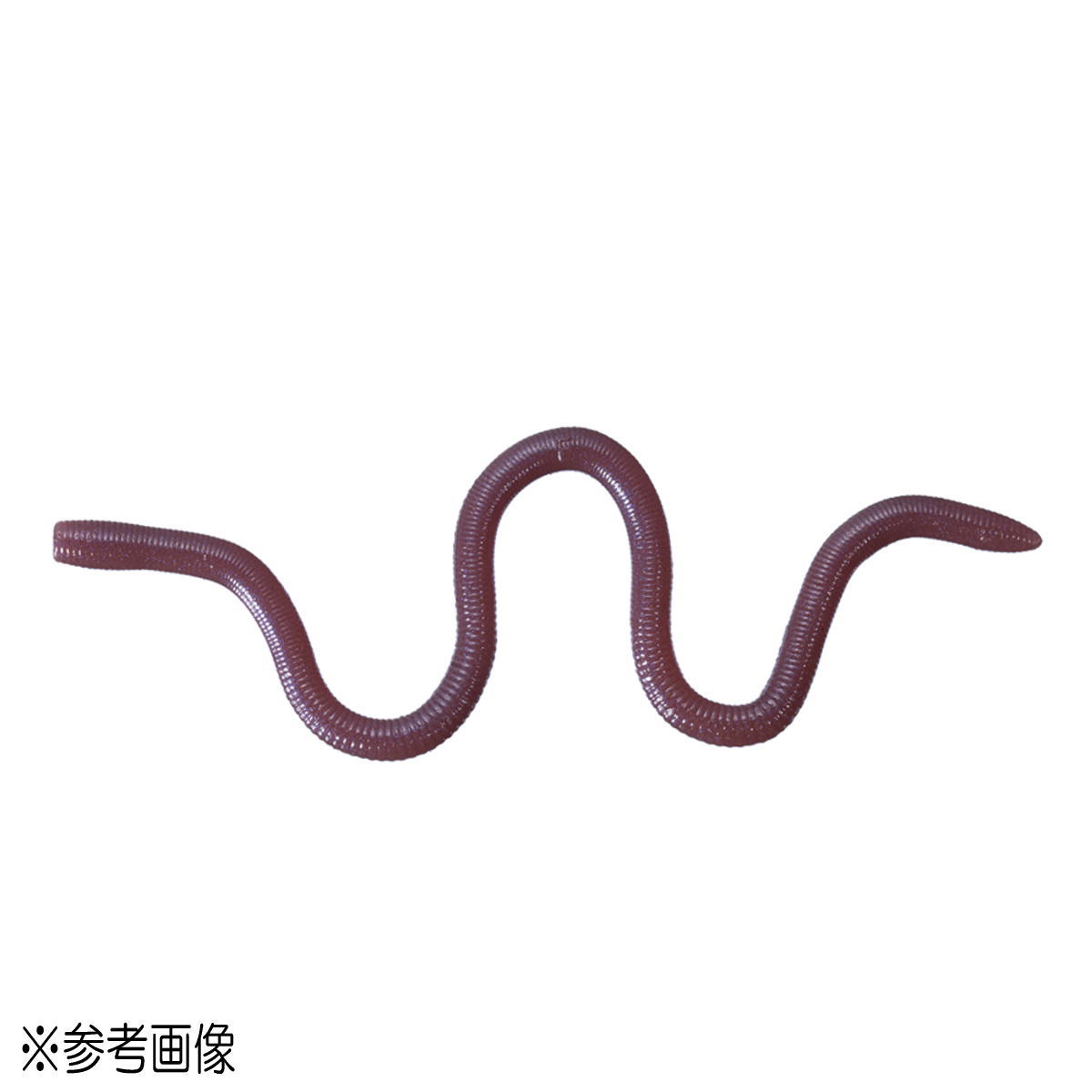 生エサ感覚の禁じ手。多種多様なサイトフィッシング(以下サイト)テクニックが入り乱れる昨今、エキスパートロコたちにこぞって研究されているのがライトタックルを用いたノーシンカーでのミミズ系ワームのサイト。通常であれば見切られてしまうような、ライ...