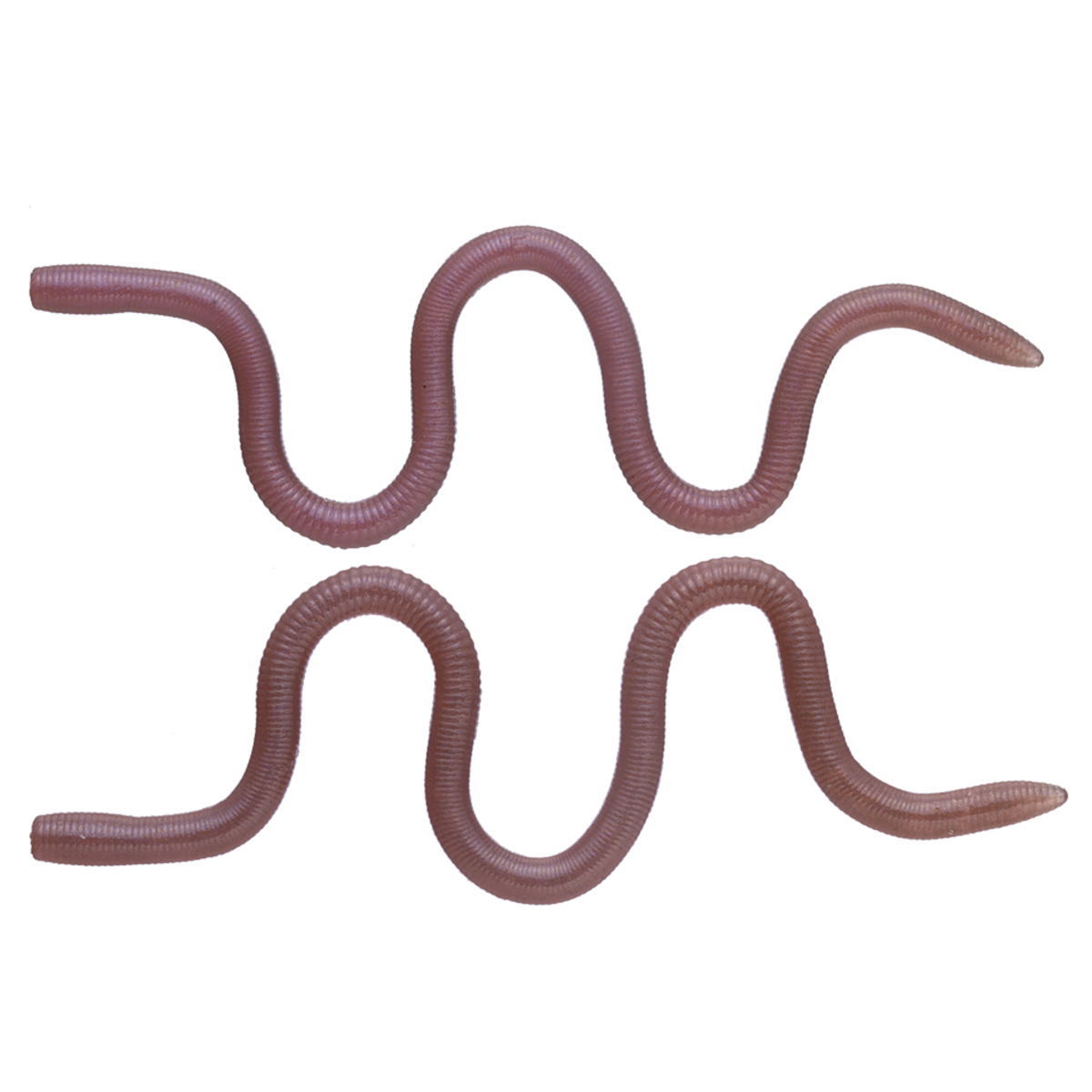 生エサ感覚の禁じ手。多種多様なサイトフィッシング(以下サイト)テクニックが入り乱れる昨今、エキスパートロコたちにこぞって研究されているのがライトタックルを用いたノーシンカーでのミミズ系ワームのサイト。通常であれば見切られてしまうような、ライ...