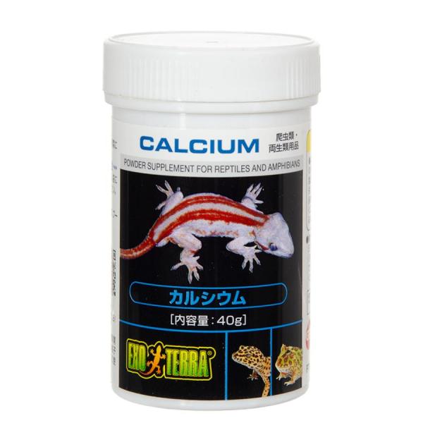 GEX ジェックス エキゾテラ カルシウム 40g PT1850 骨格の形成発達に必要なカルシウムのパウダー。 リンを含まないので安心。 屋外飼育、十分なUV照射が行われている爬虫類に適したサプリメント！ 無リンパウダーを使用！ ---原産...