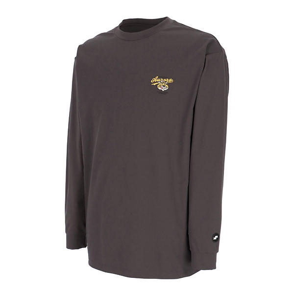 メーカー エスエスケイ（SSK） カテゴリー 野球 分類 Tシャツ 商品名 エスエスケイ（SSK）　BTE25013 91　野球　トレーニングウェア　AURORA オーバーサイズ L/S Tシャツ 25SS 品番 SSK-BTE25013-...