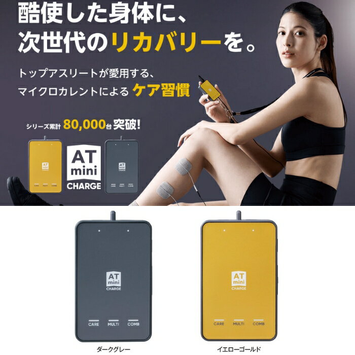 メーカー 伊藤超短波株式会社 カテゴリー 陸上・ランニング 分類 アクセサリー 商品名 伊藤超短波株式会社　YB0012　1277 1278　ATmini CHARGE 本体セット コンディショニングケア　ポータブル・マイクロカレント　26...