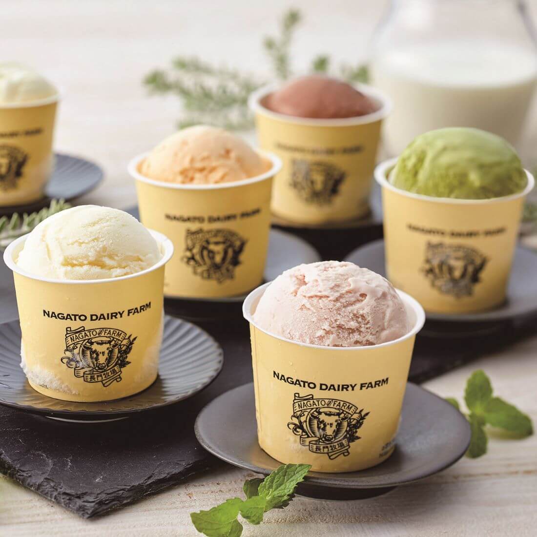 商品説明 セット内容アイスクリーム120ml×10個（バニラ×3、チョコレート×2、抹茶×2、信州産あんず×1、信州産いちご×1、フローズンヨーグルト×1）内容量120ml×10箱サイズ約縦26×横35×高さ13cmメーカー品番【A-1】 ...