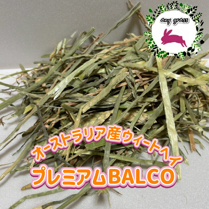 【any grass】 オーストラリア産 ウィートヘイ BALCO 800g～10Kg 牧草 BALCOから自信のウィートヘイ入荷中です！ ウィートヘイの茎の特徴であるシャキッとした食感を、長短が交わった茎で味わえるお品になっています。 葉...