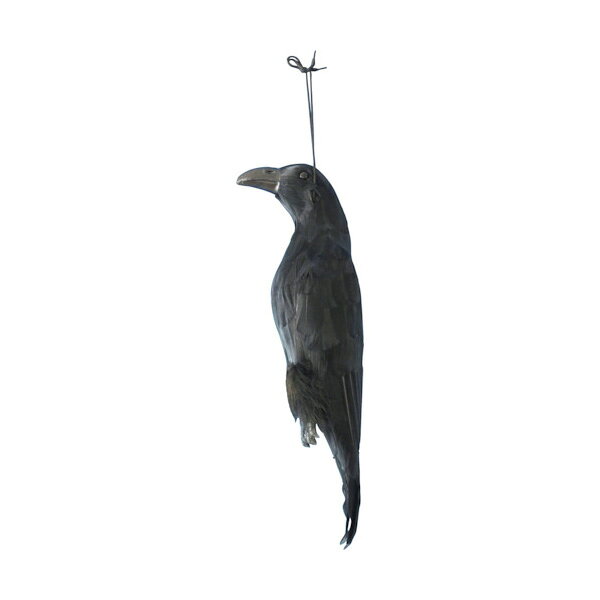 特長●害鳥を撃退します。●ハト・スズメなどにも効果があります。用途●害鳥を撃退します。●ハト・スズメなどにも効果があります。仕様・規格●対象生物：カラス・ハト・スズメ●幅(mm)：160●奥行(mm)：140●高さ(mm)：540●色：ブラ...