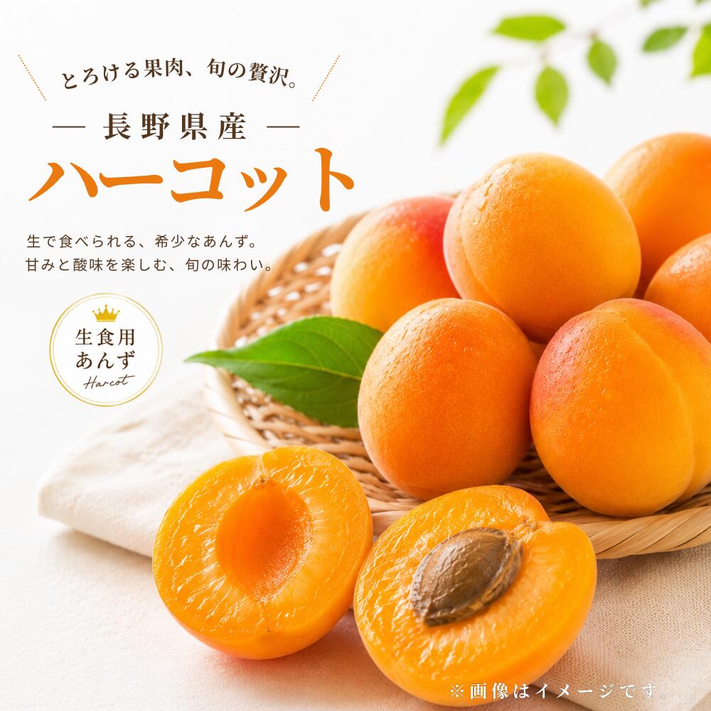 ご購入前にご確認ください 本商品は生食用杏です。 内容をご理解のうえ、ご購入をお願いいたします。 多少のキズ・スレ・色ムラなどがあるご家庭用商品です 生食に問題のないものを選別してお届けします 熟度・サイズ・個数の指定はできません 約1kg...