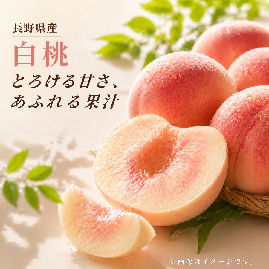 ご購入前にご確認ください 本商品は長野県産桃（ご家庭用）です。 内容をご理解のうえ、ご購入をお願いいたします。 多少のキズ・スレ・色ムラなどがあるご家庭用商品です 生食に問題のないものを選別してお届けします 品種・熟度・サイズ・個数の指定は...