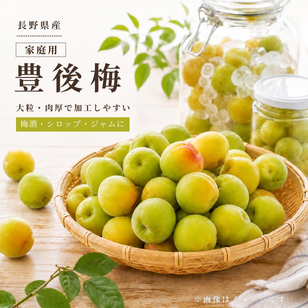 ご購入前にご確認ください 本商品は豊後梅です。 内容をご理解のうえ、ご購入をお願いいたします。 多少のキズ・スレ・色ムラなどがあるご家庭用商品です 加工に問題のないものを選別してお届けします 熟度・サイズ・個数の指定はできません 約2kg・...