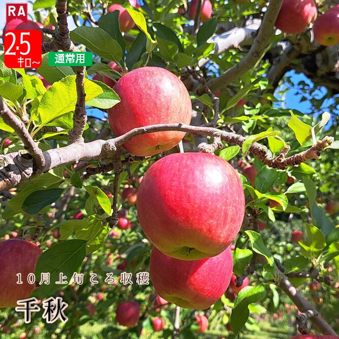 商品説明 商品名 千秋 通常用・家庭用 りんご 内容量 ・2.5kg（6～13個） ・5kg（12～26個） ・10kg（24～52個） 原産地 青森県 保存方法 届き次第、冷蔵庫など温度変化の少ない所での保管をおすすめします。 おいしく召...