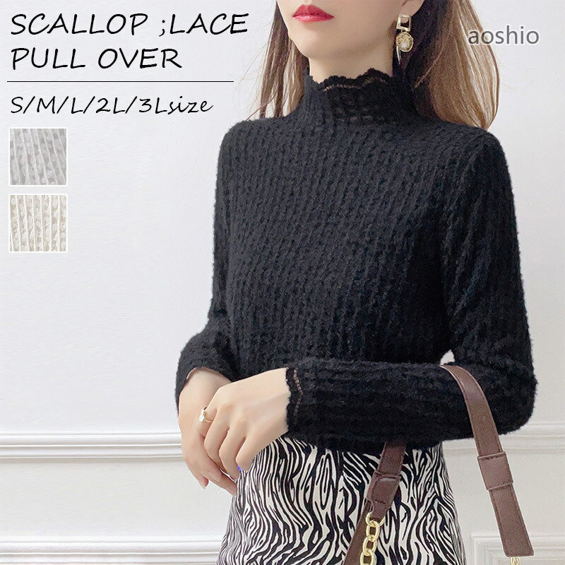 レーストップスレースブラウス長袖総レー トップス シャツ ブラウス 新登場! S M L 2L 2XL(3L) 杏 ホワイト ホワイト(裹起毛) 杏(裹起毛)