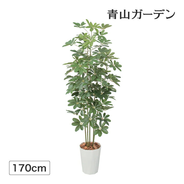 ■商品名：シェフレラ 1.7m (人工植物) ■コード：21439600 手軽なお手入れで、美しい姿を長く保てる人工観葉植物。 自然な枝ぶり、自然な色にこだわって、1点1点丁寧に手作りしています。 ご家庭やオフィス、商業施設などの手入れや管...