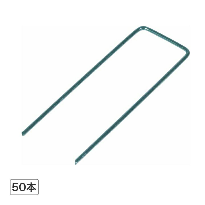 ■商品名：人工芝ピン50本 ■商品コード：51994100 人工芝を地面にしっかり固定する人工芝ピン 【商品情報】 サイズ：約幅5cmx奥行15cmx高さ0.1cm 材質：スチール 重量：約0.025kg 備考：完成品型番：AG-P50
