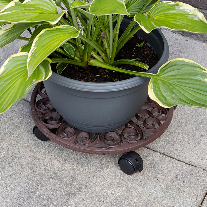 ■商品名：アイアンプランツトレー round L ■商品コード：84680100 植木鉢11号程度（Lサイズ）、積載量30kgまでの屋外用丸型植物トレー。 キャスター付きなので、重い鉢植えもレイアウト自由自在です。 キャスターは凹凸のある地...