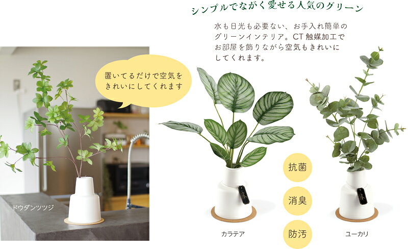 シンプルでなが〜く愛せる人気のグリーン！水も日光も必要ない、お手入れ簡単のインテリアです。CT触媒加工でお部屋を飾りながら、空気もきれいにしてくれますよ♪◆素材カラテア：ポリエチレン、陶器、コルクドウダンツツジ・ユーカリ：ポリエチレン、ポリ...