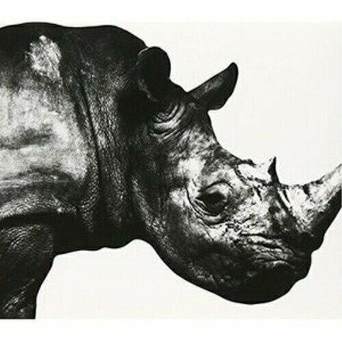Mr.Children 1992-1995Mr.Childrenミスターチルドレン ミスチル みすたーちるどれん みすちる　発売日 : 2001年7月11日　種別 : CD　JAN : 4988061881805　商品番号 : TFCC-8...