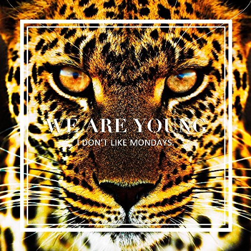 WE ARE YOUNG/Super SpecialI DON'T LIKE MONDAYS.アイドントライクマンデイズ あいどんとらいくまんでいず　発売日 : 2015年4月01日　種別 : CD　JAN : 4988001772293　...